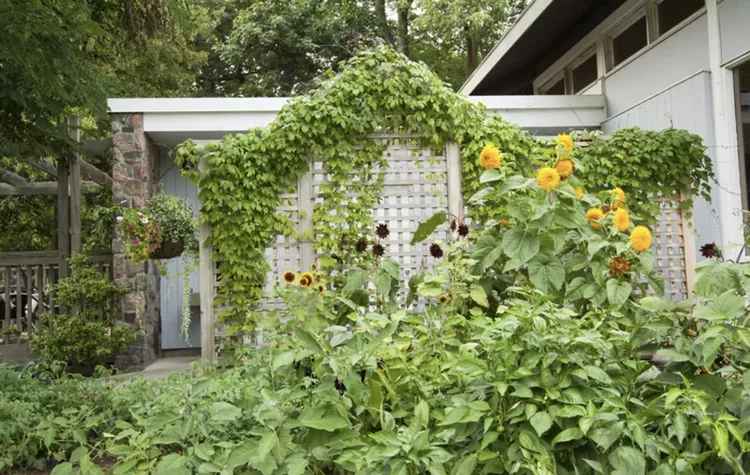 Enhance Your Outdoor Space with 30 Ingenious Garden Trellis Concepts ...